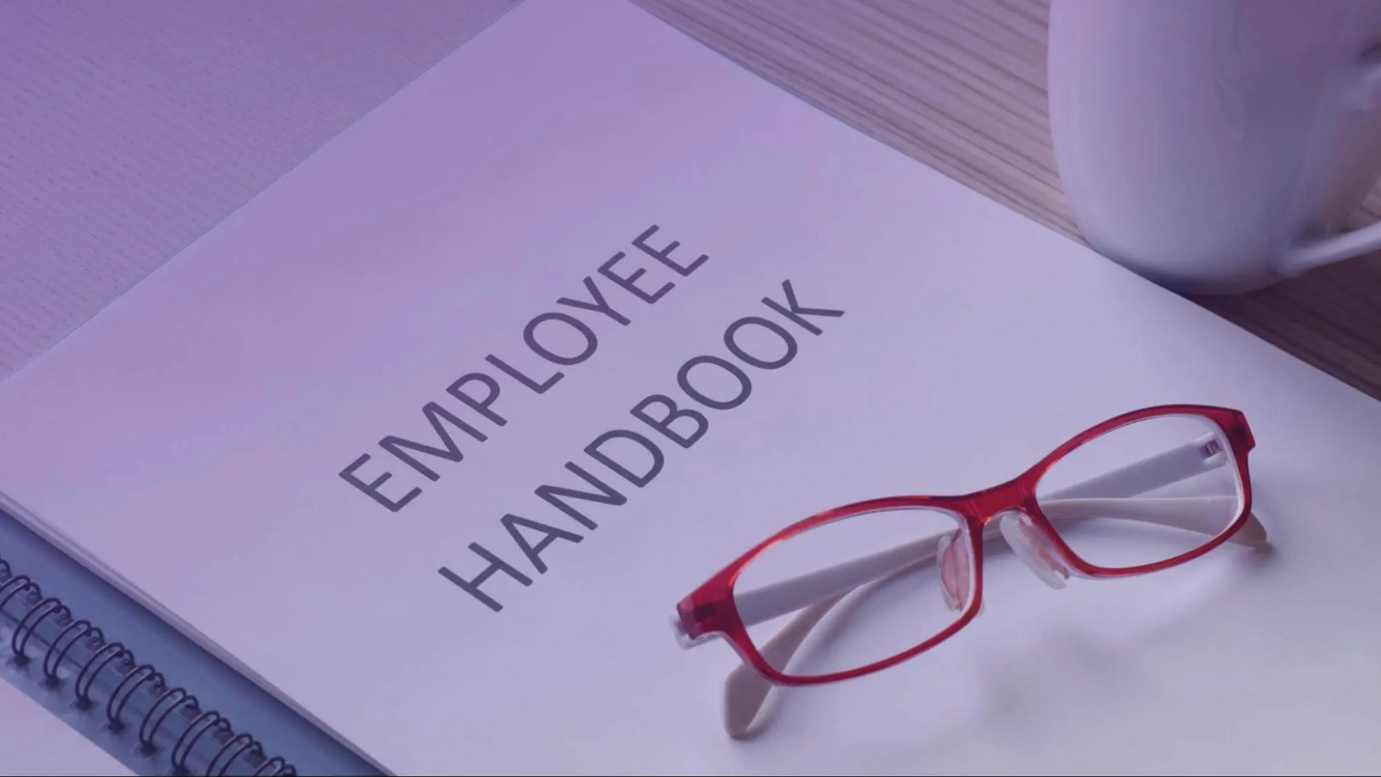 Comprehensive Employee Handbook Guide for 2024 | Skuad